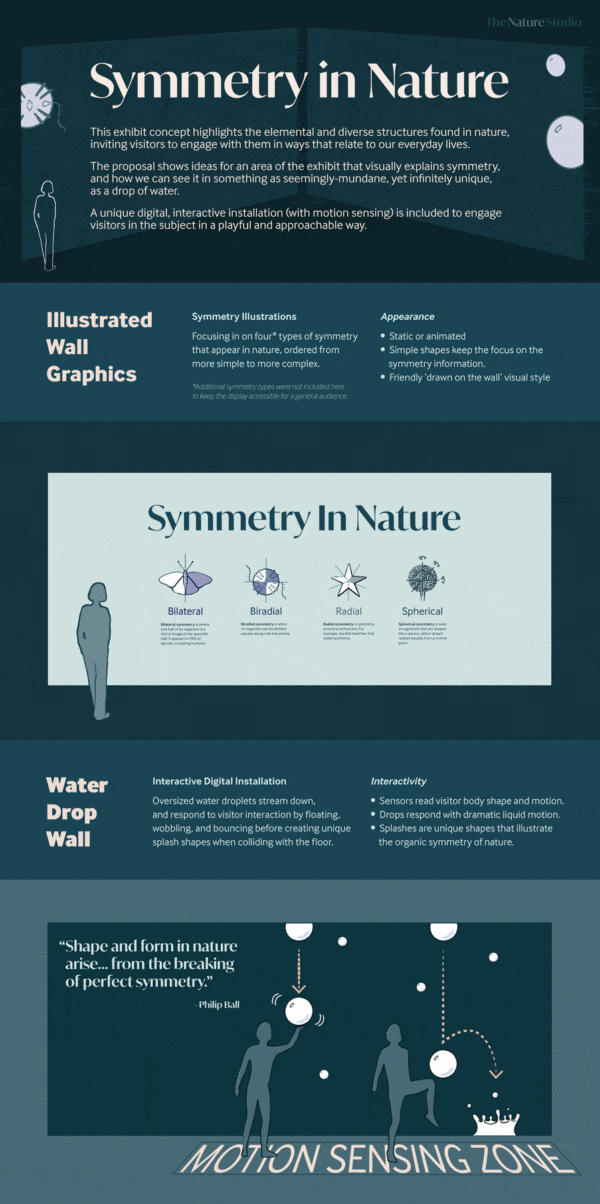Symmetry in Nature / Splash Exhibit – Illustrating Nature 2021